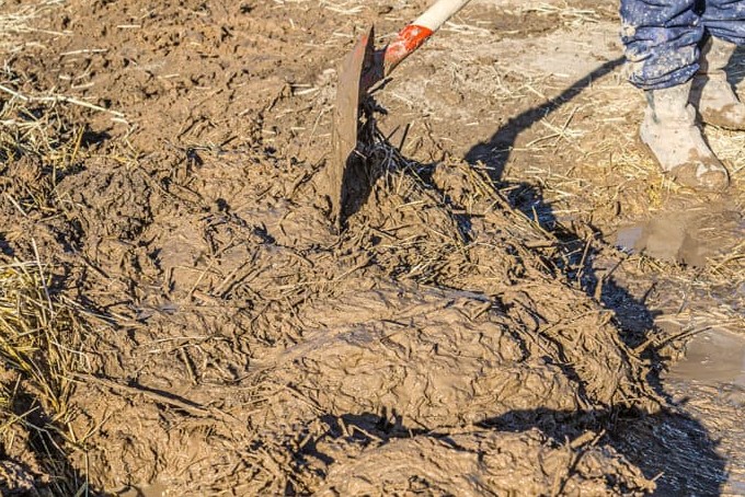 Qu’est-ce que le torchis ? - à portée de mains