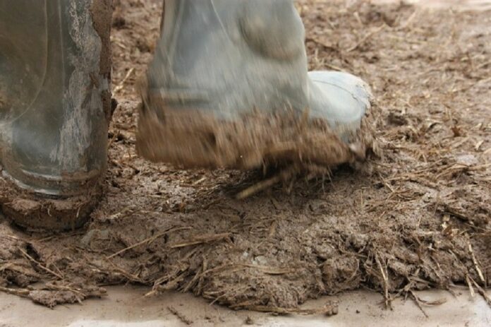 Comment faire de la bauge ? - à portée de mains