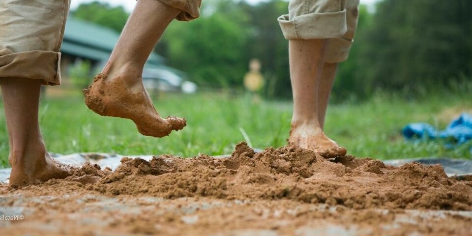 Comment faire de la bauge ? - à portée de mains