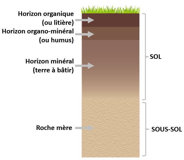 Comment faire du torchis : quel dosage, quelle préparation ? - à portée ...
