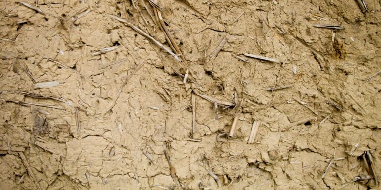 Le torchis : définition et utilisations - à portée de mains