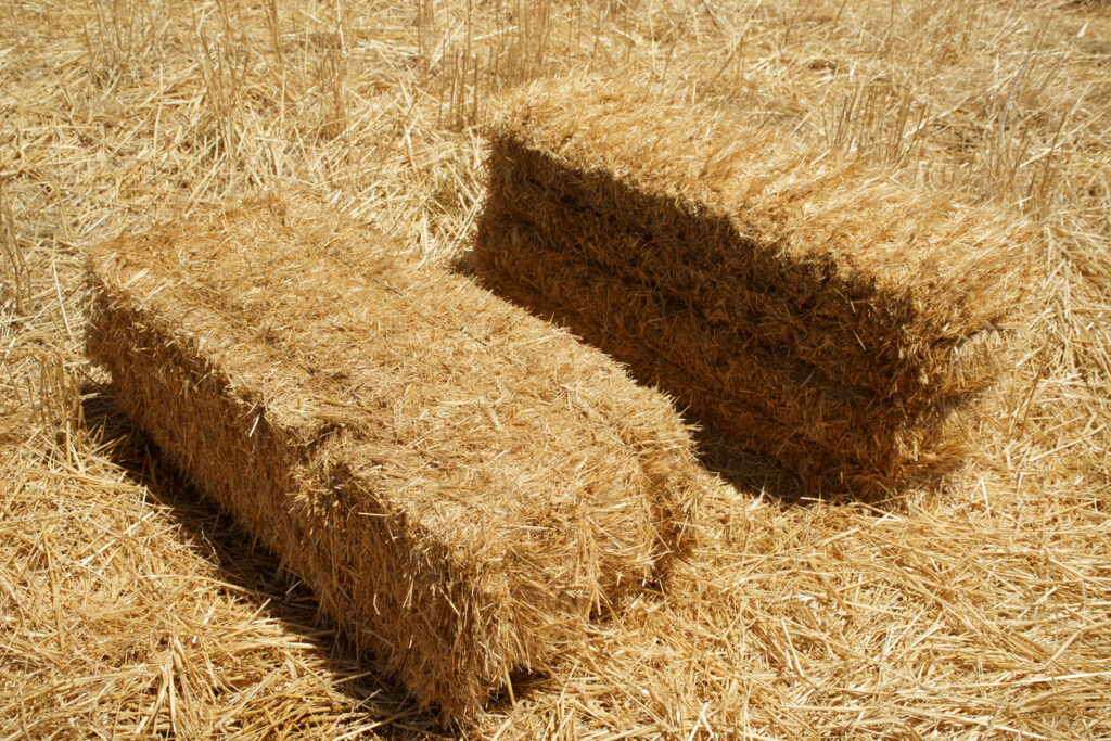 Qu’est-ce qu’un matériau biosourcé ? - à portée de mains